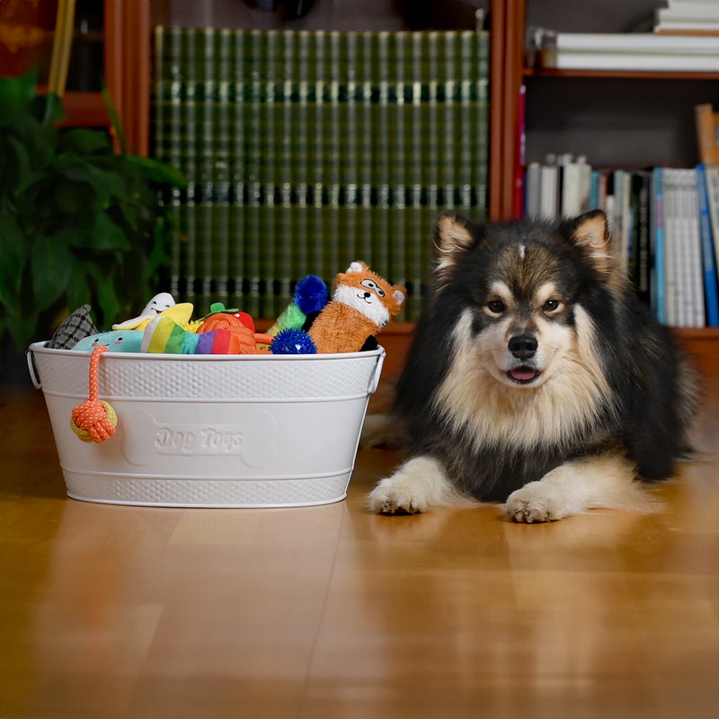 Metal Dog Toy Box, Indestructible Pet Storage Container, White | BREKX ...